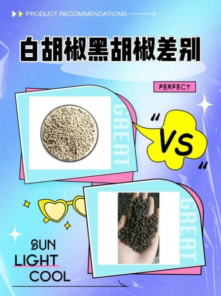 胡椒粉是白胡椒还是黑胡椒_区别与选购-第2张图片-山城妙识 胡椒粉是白胡椒还是黑胡椒_区别与选购-第2张图片-山城妙识