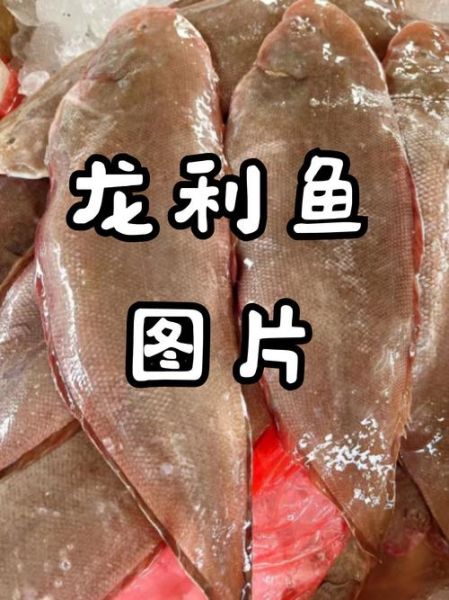龙利鱼是什么鱼_龙利鱼图片长什么样-第1张图片-山城妙识
