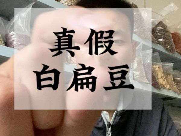 哪种是正宗的白扁豆_白扁豆真假辨别方法-第1张图片-山城妙识 哪种是正宗的白扁豆_白扁豆真假辨别方法-第1张图片-山城妙识
