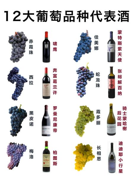 红酒有多少种类_红酒分类方法-第3张图片-山城妙识 红酒有多少种类_红酒分类方法-第3张图片-山城妙识