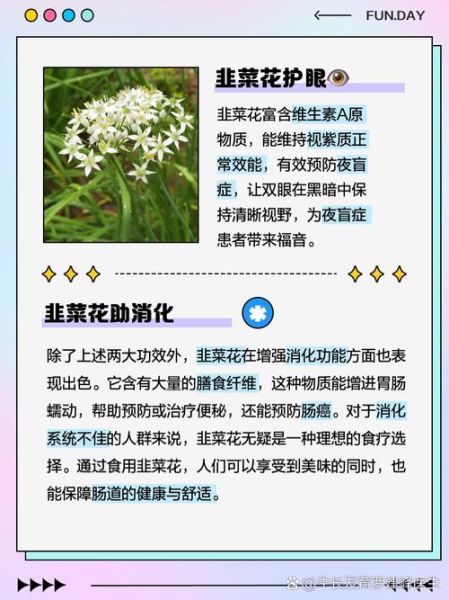 韭菜花的花苞能吃吗_韭菜花苞怎么做好吃-第1张图片-山城妙识 韭菜花的花苞能吃吗_韭菜花苞怎么做好吃-第1张图片-山城妙识