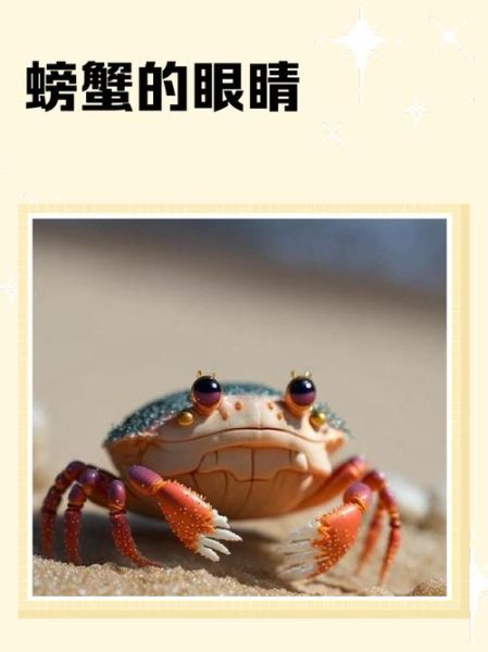 螃蟹死了眼睛是鼓起来还是塌下去_如何判断新鲜度-第1张图片-山城妙识 螃蟹死了眼睛是鼓起来还是塌下去_如何判断新鲜度-第1张图片-山城妙识