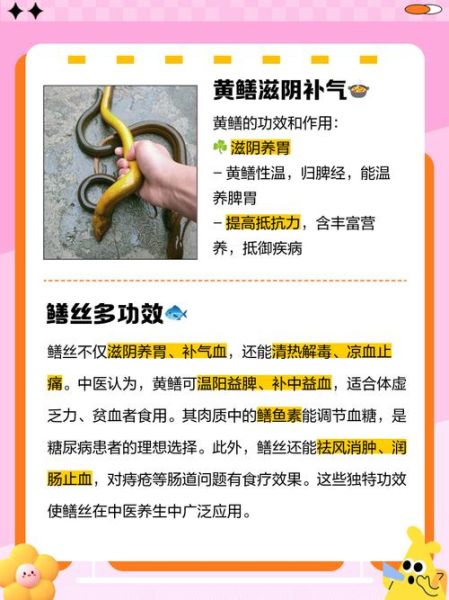 鳗鱼丝的营养价值_鳗鱼丝的功效与作用-第1张图片-山城妙识 鳗鱼丝的营养价值_鳗鱼丝的功效与作用-第1张图片-山城妙识