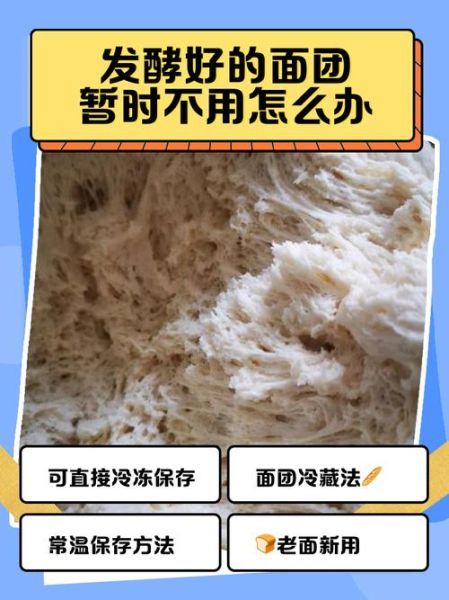 面粉发酵要多久_面粉发酵失败怎么办-第1张图片-山城妙识 面粉发酵要多久_面粉发酵失败怎么办-第1张图片-山城妙识