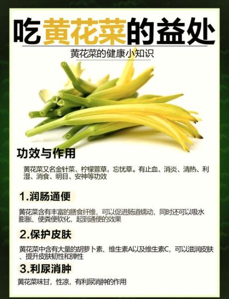 黄花菜开花了还能吃吗_怎么处理才安全-第1张图片-山城妙识 黄花菜开花了还能吃吗_怎么处理才安全-第1张图片-山城妙识