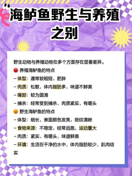 海鲈鱼和淡水鱼区别_如何挑选最新鲜的海鲈鱼-第2张图片-山城妙识