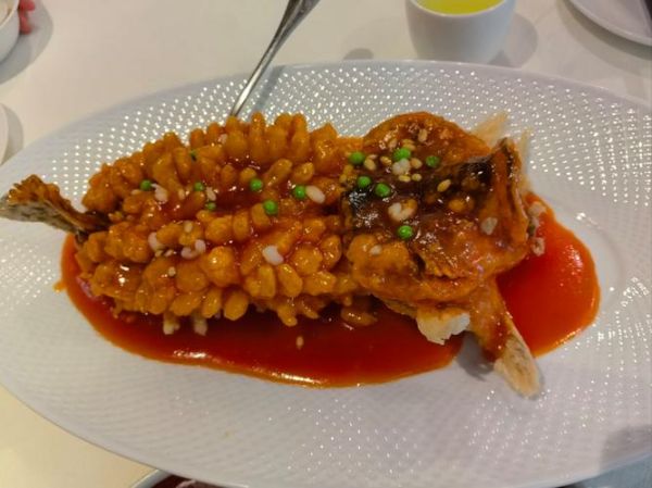 松鼠桂鱼用什么鱼代替_口感最接近的替代鱼种-第1张图片-山城妙识 松鼠桂鱼用什么鱼代替_口感最接近的替代鱼种-第1张图片-山城妙识