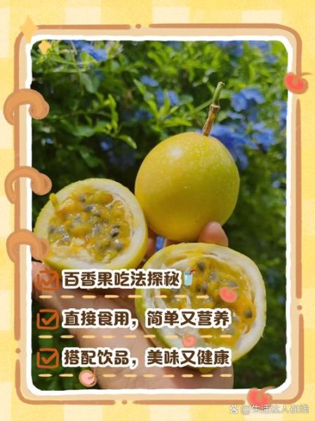 百香果怎么吃最好_百香果的正确吃法-第2张图片-山城妙识 百香果怎么吃最好_百香果的正确吃法-第2张图片-山城妙识