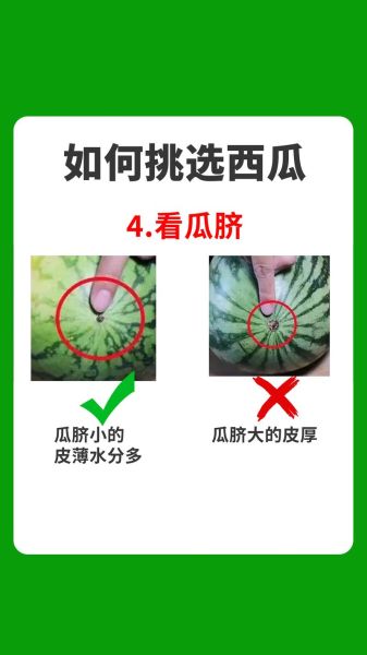 打瓜和西瓜的区别_打瓜和西瓜哪个好吃-第1张图片-山城妙识