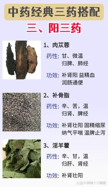 补血补气的中药有哪些_气血不足吃什么中药最快-第2张图片-山城妙识 补血补气的中药有哪些_气血不足吃什么中药最快-第2张图片-山城妙识