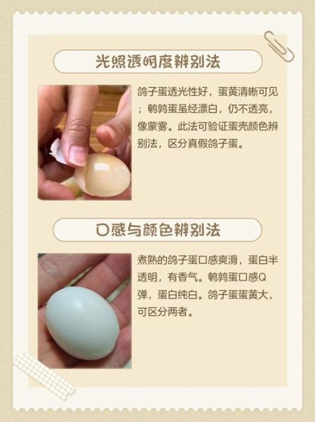 假鸽子蛋煮熟后怎么辨别_假鸽子蛋煮熟后图片特征-第1张图片-山城妙识