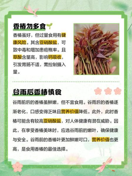 香椿树风水禁忌_香椿树种哪里最旺宅-第3张图片-山城妙识 香椿树风水禁忌_香椿树种哪里最旺宅-第3张图片-山城妙识
