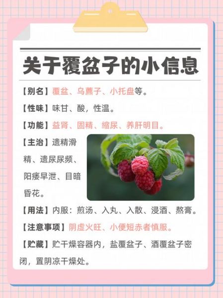 覆盆子图片_覆盆子功效与作用-第1张图片-山城妙识 覆盆子图片_覆盆子功效与作用-第1张图片-山城妙识