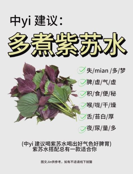 紫苏叶的功效与作用_紫苏叶的禁忌和食用方法-第1张图片-山城妙识 紫苏叶的功效与作用_紫苏叶的禁忌和食用方法-第1张图片-山城妙识