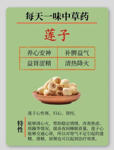 莲子功效与作用禁忌人群_哪些人不能吃莲子-第1张图片-山城妙识