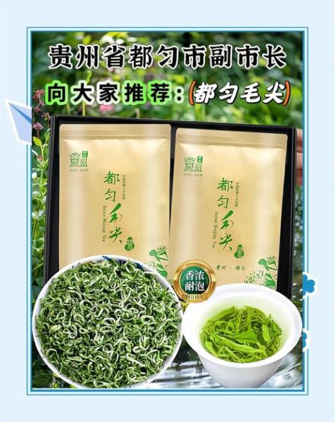 都匀毛尖茶多少钱一斤_都匀毛尖茶怎么泡-第2张图片-山城妙识 都匀毛尖茶多少钱一斤_都匀毛尖茶怎么泡-第2张图片-山城妙识