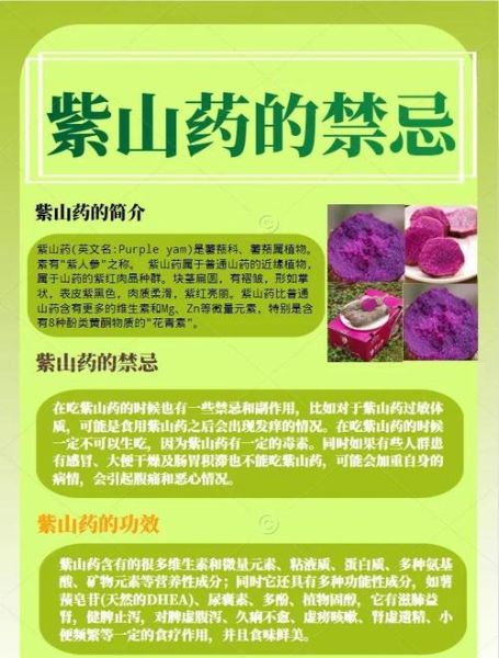 紫山药的功效与作用_紫山药怎么吃最养人-第2张图片-山城妙识 紫山药的功效与作用_紫山药怎么吃最养人-第2张图片-山城妙识