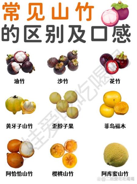 山竹的营养价值_山竹的功效与禁忌-第2张图片-山城妙识 山竹的营养价值_山竹的功效与禁忌-第2张图片-山城妙识