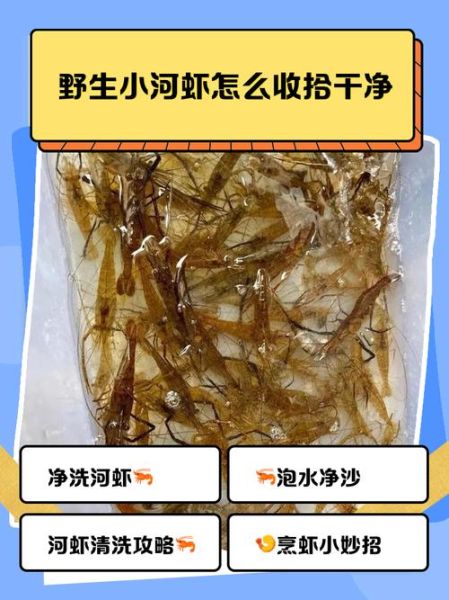 青虾怎么处理_青虾怎么清洗-第2张图片-山城妙识 青虾怎么处理_青虾怎么清洗-第2张图片-山城妙识
