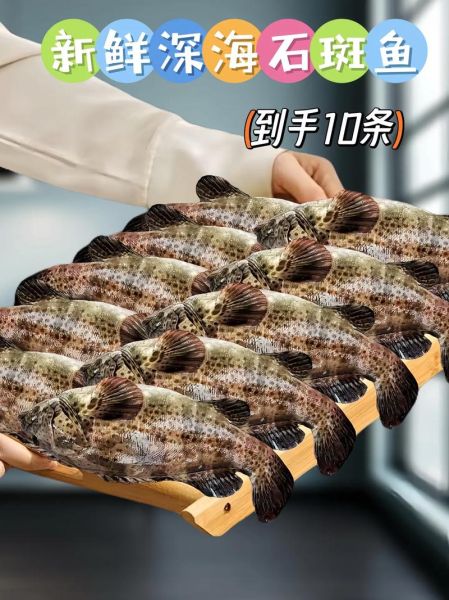 野生石斑鱼怎么做好吃_清蒸石斑鱼做法步骤-第1张图片-山城妙识 野生石斑鱼怎么做好吃_清蒸石斑鱼做法步骤-第1张图片-山城妙识