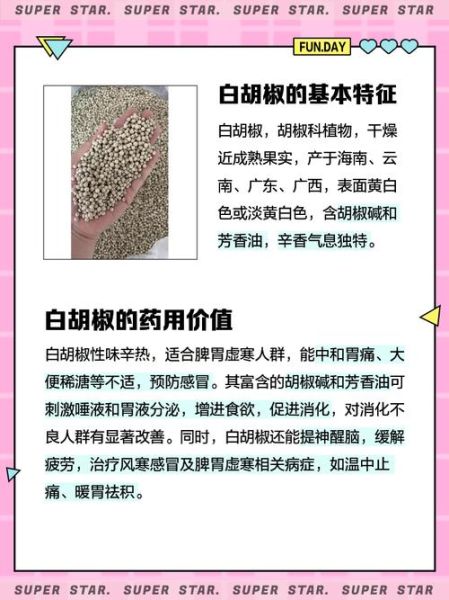 白胡椒价格最新行情_多少钱一斤-第2张图片-山城妙识 白胡椒价格最新行情_多少钱一斤-第2张图片-山城妙识