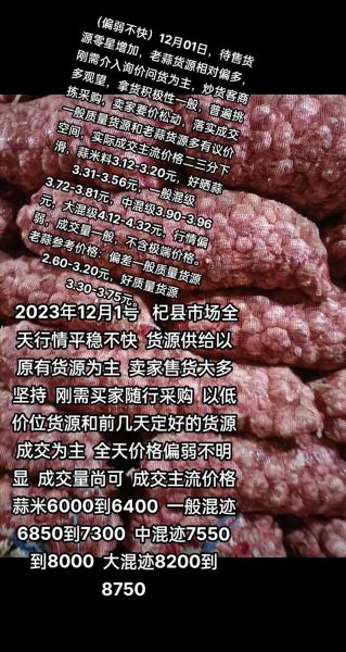 大蒜价格今日多少钱一斤_大蒜出口关税怎么算-第3张图片-山城妙识 大蒜价格今日多少钱一斤_大蒜出口关税怎么算-第3张图片-山城妙识