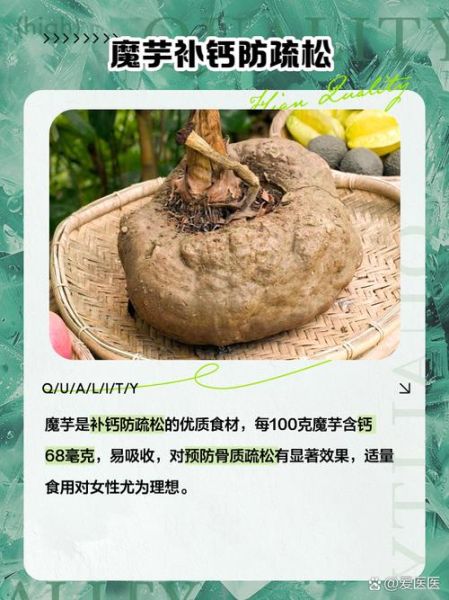 魔芋种植新技术_如何提高产量-第3张图片-山城妙识 魔芋种植新技术_如何提高产量-第3张图片-山城妙识