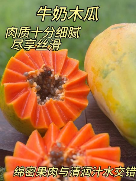 牛奶泡木瓜有什么功效_牛奶木瓜丰胸是真的吗-第3张图片-山城妙识