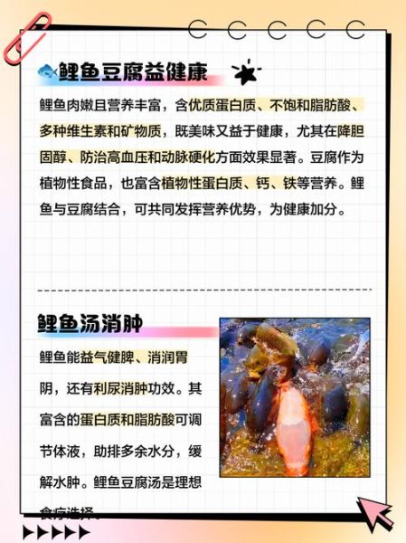 鲤鱼汤的功效与作用_孕妇可以喝吗-第2张图片-山城妙识 鲤鱼汤的功效与作用_孕妇可以喝吗-第2张图片-山城妙识