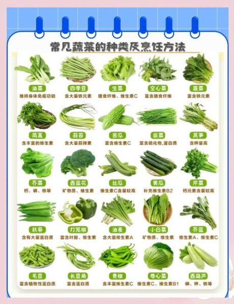 青菜图片大全大图_青菜种类识别图解-第1张图片-山城妙识