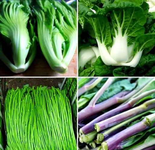 青菜图片大全大图_青菜种类识别图解-第2张图片-山城妙识
