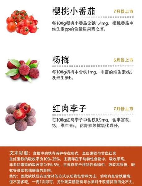 补铁的食物有哪些_缺铁吃什么水果蔬菜-第3张图片-山城妙识 补铁的食物有哪些_缺铁吃什么水果蔬菜-第3张图片-山城妙识