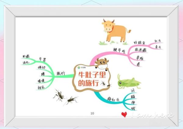 牛肚子里的旅行_牛有几个胃-第3张图片-山城妙识 牛肚子里的旅行_牛有几个胃-第3张图片-山城妙识