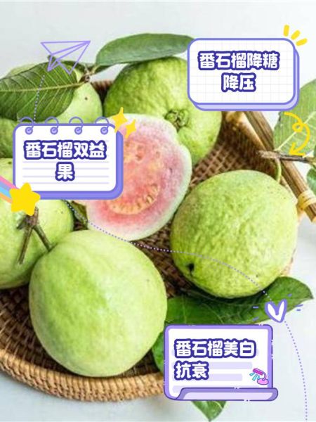 番石榴哪些人不能吃_番石榴禁忌人群-第3张图片-山城妙识 番石榴哪些人不能吃_番石榴禁忌人群-第3张图片-山城妙识