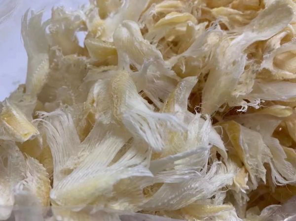 鲜鱼翅最简单的做法_鱼翅怎么做好吃又简单-第2张图片-山城妙识