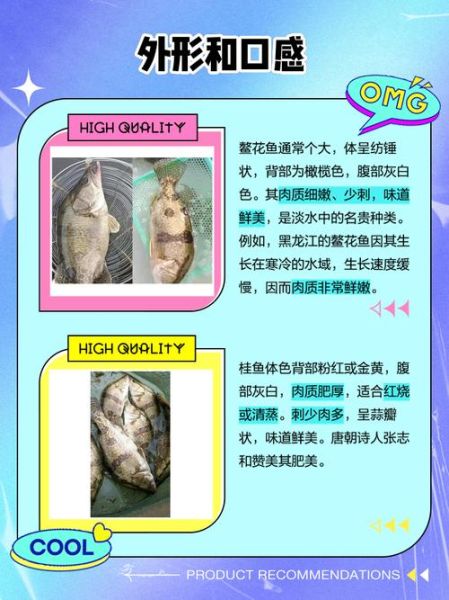 鳜鱼和桂鱼是一种鱼吗_鳜鱼桂鱼区别-第2张图片-山城妙识 鳜鱼和桂鱼是一种鱼吗_鳜鱼桂鱼区别-第2张图片-山城妙识