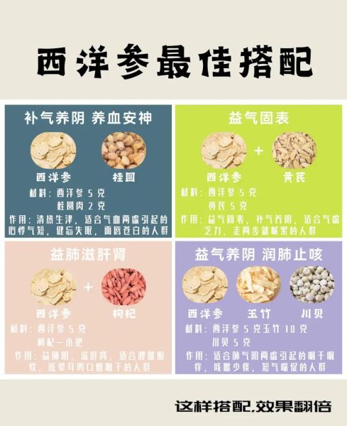 西洋参和什么搭配最好_西洋参怎么吃不上火-第3张图片-山城妙识 西洋参和什么搭配最好_西洋参怎么吃不上火-第3张图片-山城妙识