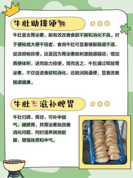 牛肚的营养价值及功效_牛肚适合什么人吃-第1张图片-山城妙识 牛肚的营养价值及功效_牛肚适合什么人吃-第1张图片-山城妙识