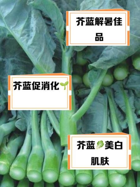 芥蓝菜的功效与作用_芥蓝菜的禁忌有哪些-第1张图片-山城妙识 芥蓝菜的功效与作用_芥蓝菜的禁忌有哪些-第1张图片-山城妙识