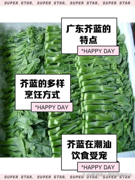 芥蓝菜的功效与作用_芥蓝菜的禁忌有哪些-第3张图片-山城妙识 芥蓝菜的功效与作用_芥蓝菜的禁忌有哪些-第3张图片-山城妙识