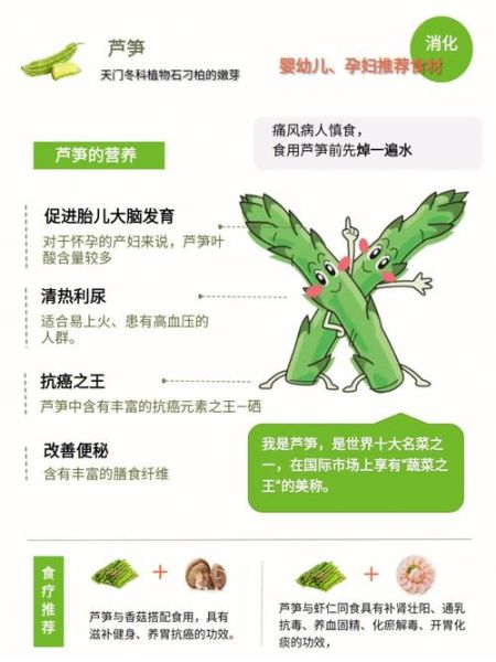 芦笋植萃是什么_芦笋植萃的功效与作用-第2张图片-山城妙识 芦笋植萃是什么_芦笋植萃的功效与作用-第2张图片-山城妙识