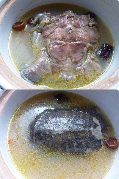 鳖的做法视频_家常清炖甲鱼汤怎么做-第2张图片-山城妙识 鳖的做法视频_家常清炖甲鱼汤怎么做-第2张图片-山城妙识