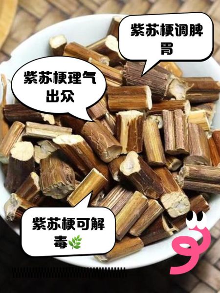苏梗的功效与作用及禁忌_孕妇能吃苏梗吗-第1张图片-山城妙识 苏梗的功效与作用及禁忌_孕妇能吃苏梗吗-第1张图片-山城妙识