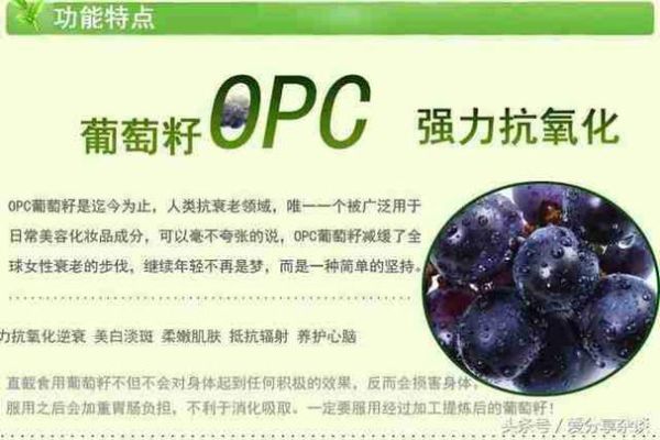 央视曝光葡萄籽骗局_葡萄籽提取物真的有用吗-第1张图片-山城妙识