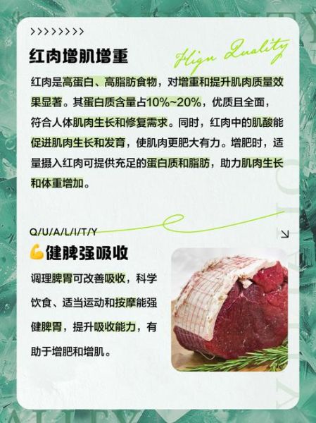 增肥吃什么好_如何快速增重不反弹-第3张图片-山城妙识 增肥吃什么好_如何快速增重不反弹-第3张图片-山城妙识
