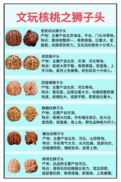 麻核桃品种鉴别图片_如何区分狮子头与官帽-第2张图片-山城妙识 麻核桃品种鉴别图片_如何区分狮子头与官帽-第2张图片-山城妙识