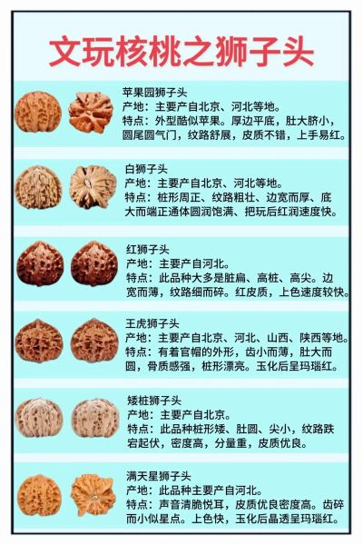 麻核桃品种鉴别图片_如何区分狮子头与官帽-第3张图片-山城妙识 麻核桃品种鉴别图片_如何区分狮子头与官帽-第3张图片-山城妙识