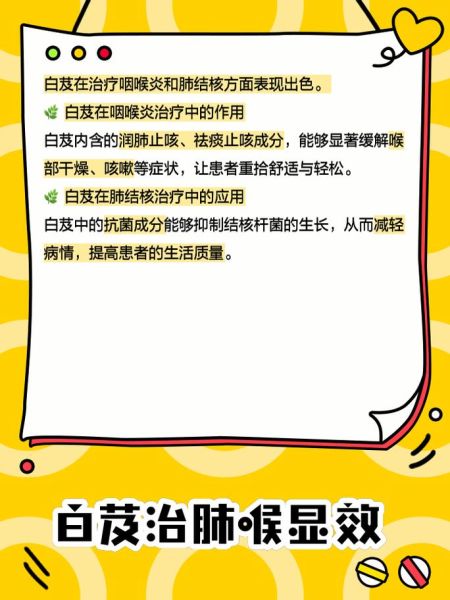 白芨哪些人不能吃_白芨禁忌人群有哪些-第1张图片-山城妙识