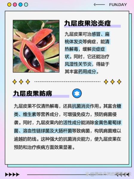 九层皮树根的功效与作用_九层皮树根怎么使用-第3张图片-山城妙识 九层皮树根的功效与作用_九层皮树根怎么使用-第3张图片-山城妙识