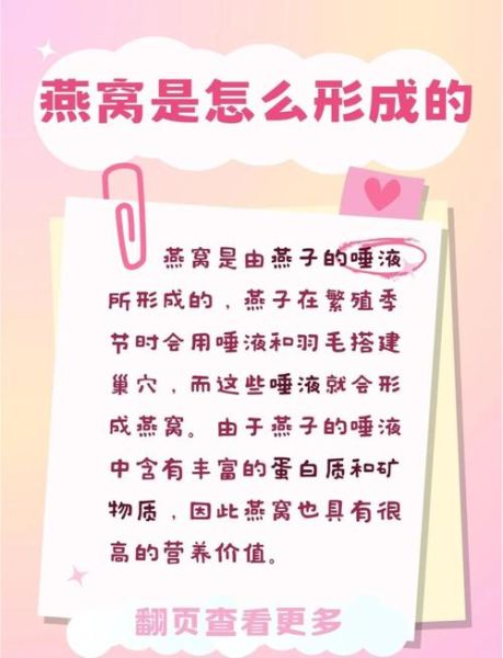 燕窝是什么_燕窝是怎么形成的-第1张图片-山城妙识 燕窝是什么_燕窝是怎么形成的-第1张图片-山城妙识